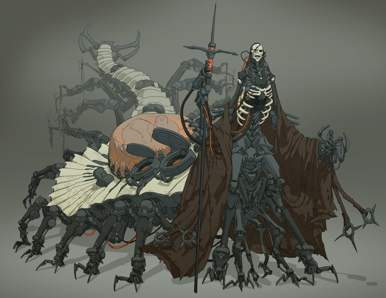 centipede.jpg (1280×988)-花瓣网