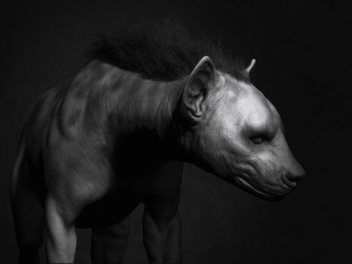 Aritz Basauri - Hyena sculpt