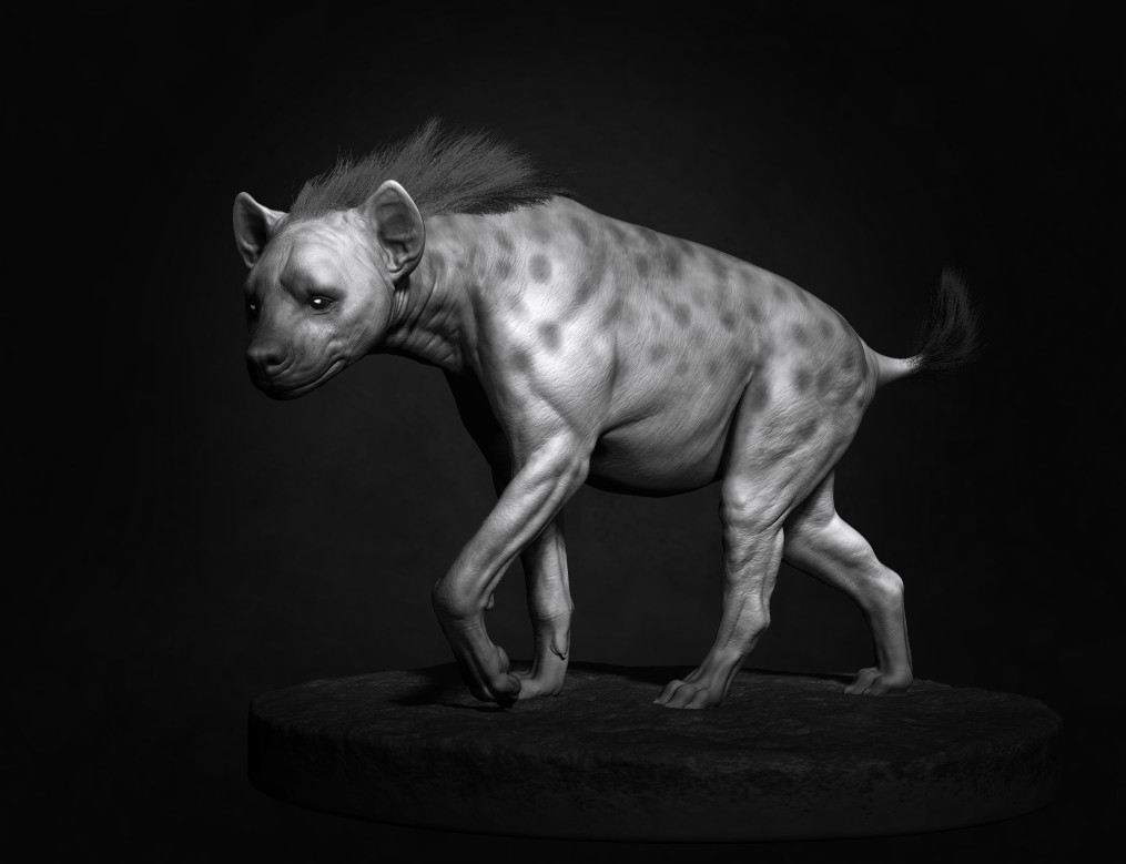 Aritz Basauri - Hyena sculpt