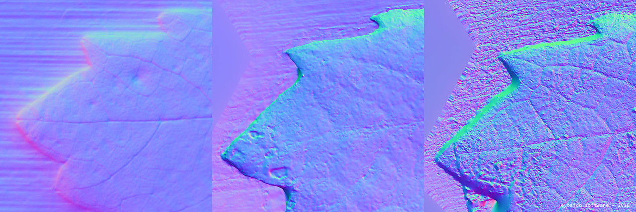 Olivier Lau - Experiment with 3 leaf scanning techniques