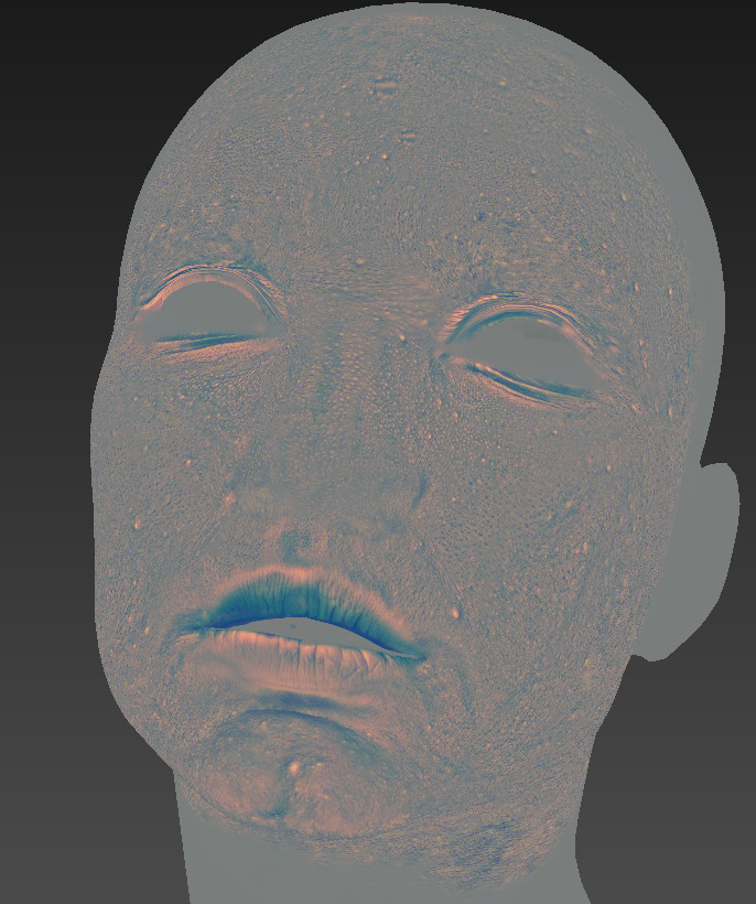 Şefki Ibrahim - THE DIGITAL HUMAN PROJECT: DISPLACEMENT MAP