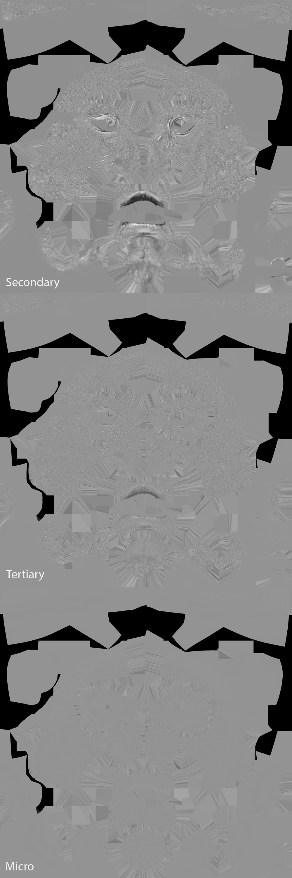 Şefki Ibrahim - THE DIGITAL HUMAN PROJECT: DISPLACEMENT MAP
