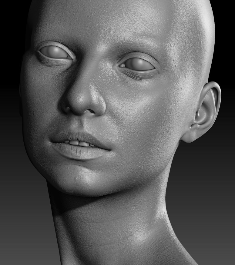 Şefki Ibrahim - THE DIGITAL HUMAN PROJECT: DISPLACEMENT MAP