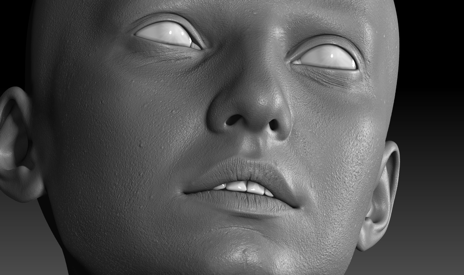 Şefki Ibrahim - THE DIGITAL HUMAN PROJECT: DISPLACEMENT MAP