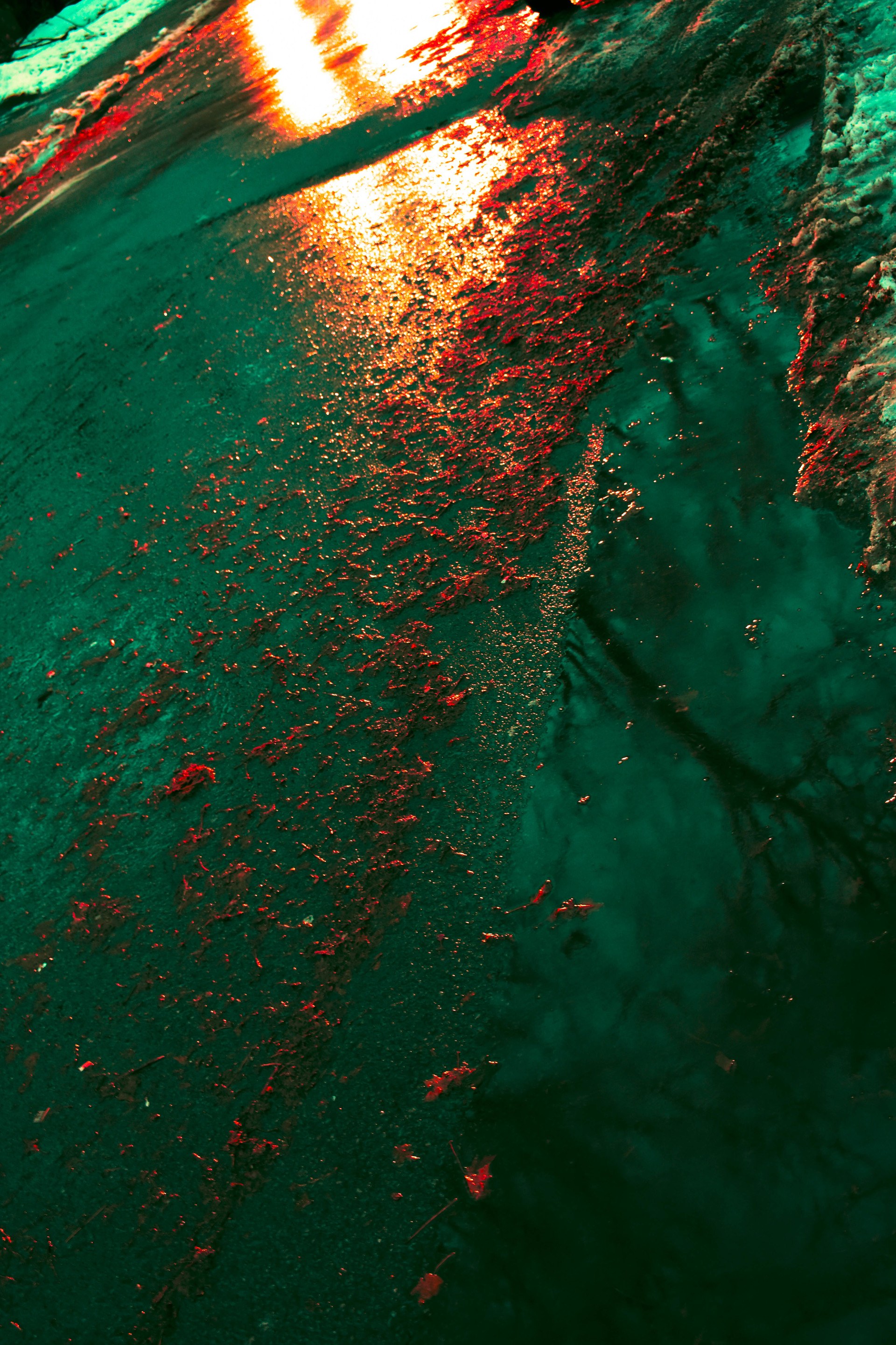 Belgian Boolean - Photography Practice 24