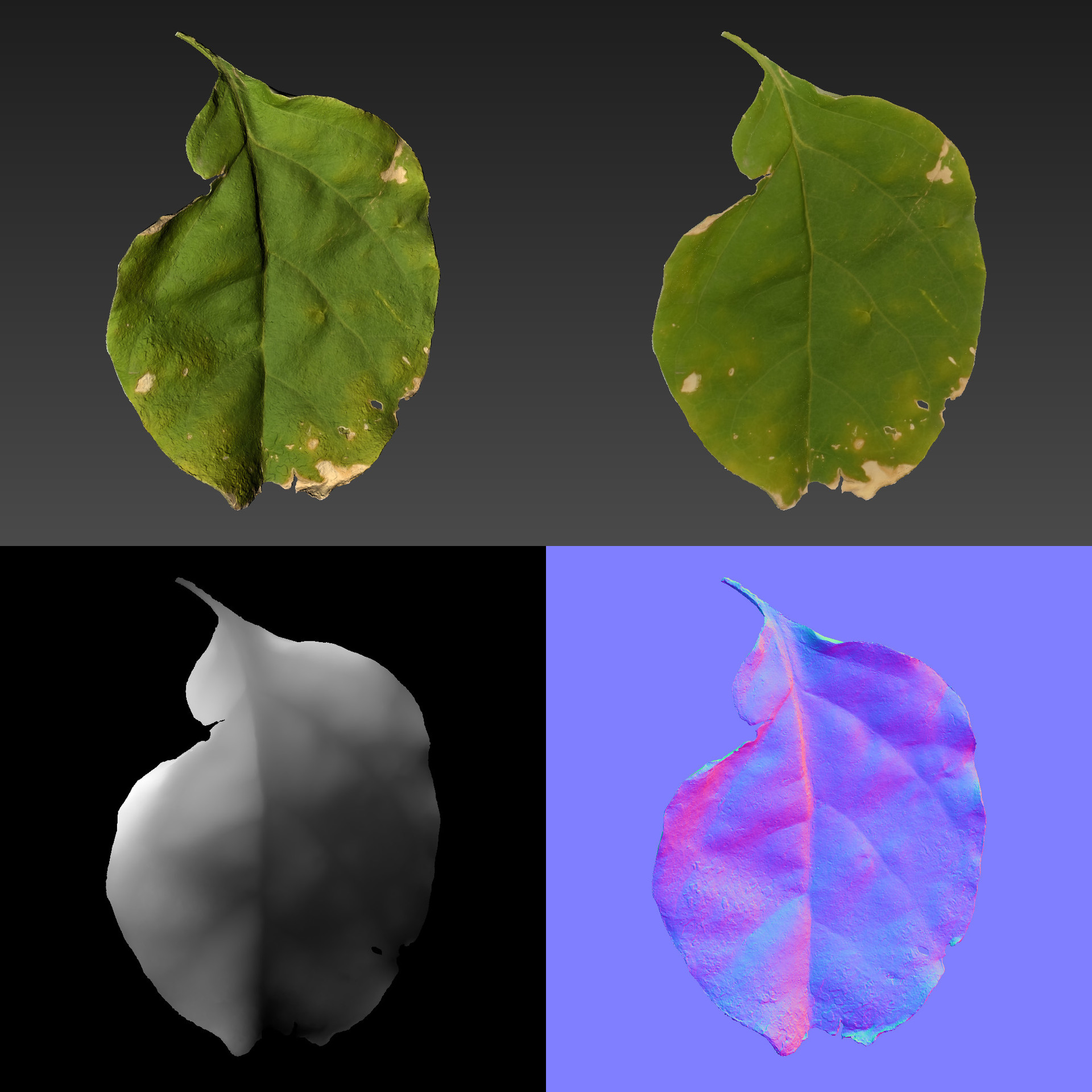 ArtStation - Photogrammetry experiments