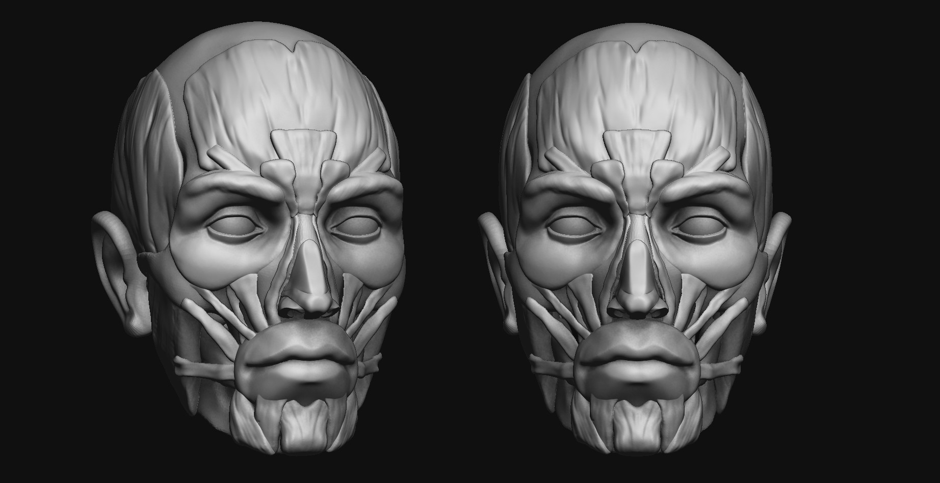ArtStation - Studying the Anatomy of the Face