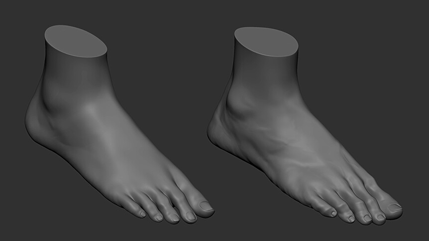 Diego Honorato - Portfolio - Anatomy Studies - Feet