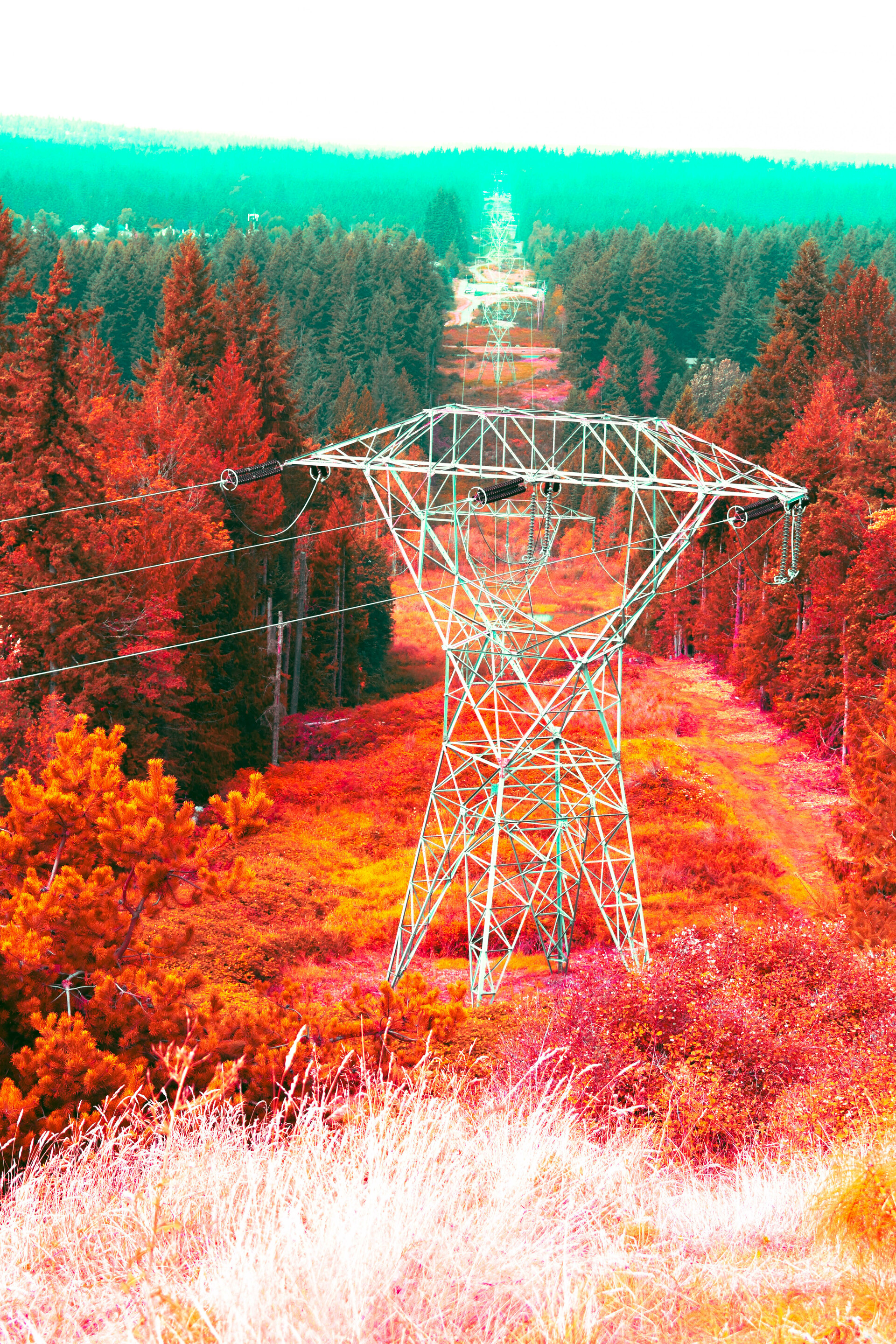 ArtStation - Rows Ahead