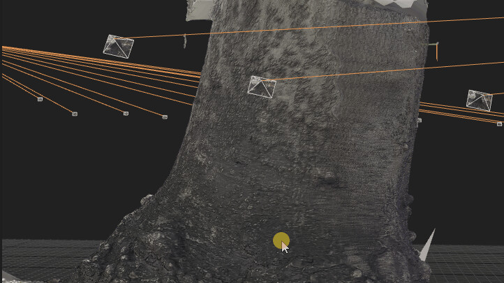 ArtStation - Workflow Research: Photogrammetry, Speedtree and more