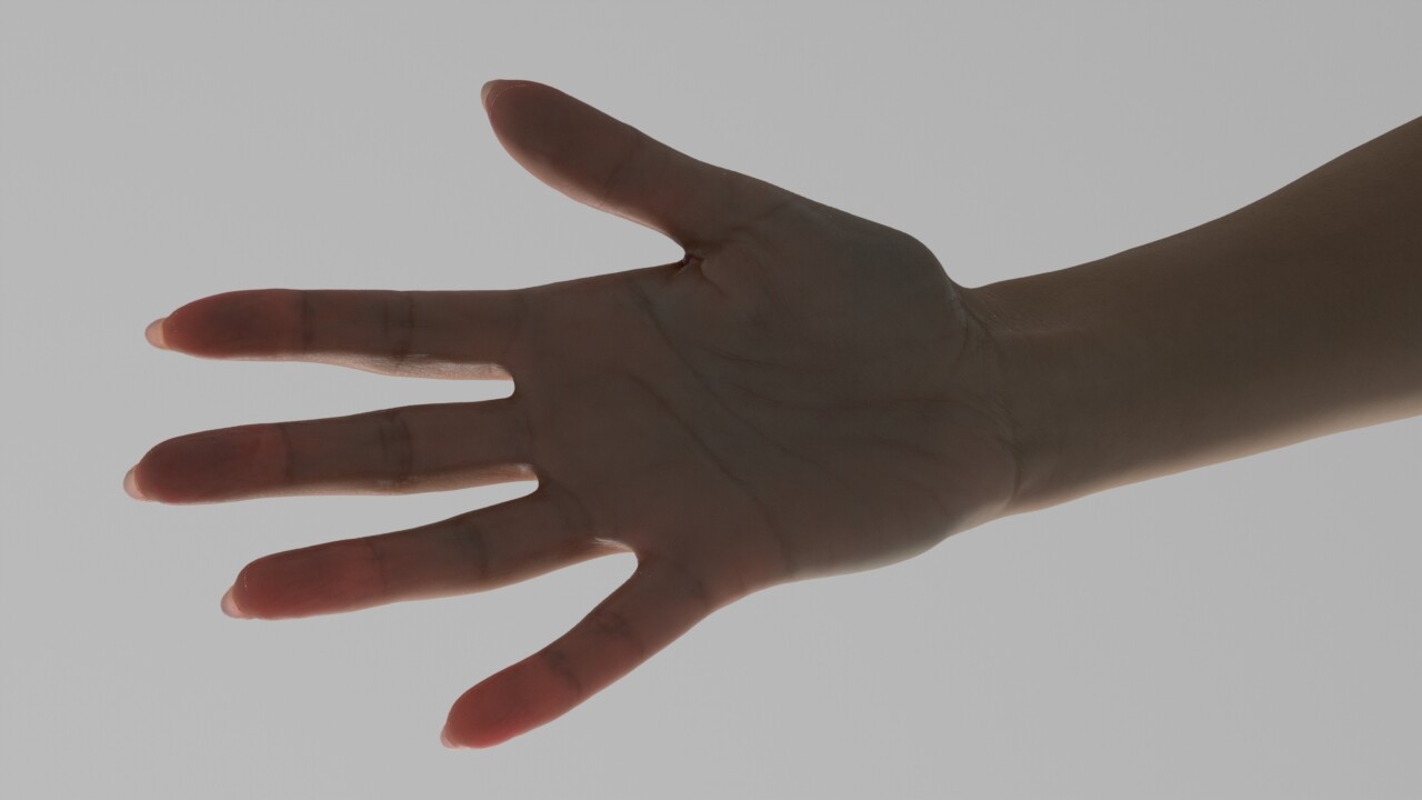 Zoltan Korcsok - Scanned Female Hand Shading in Modo