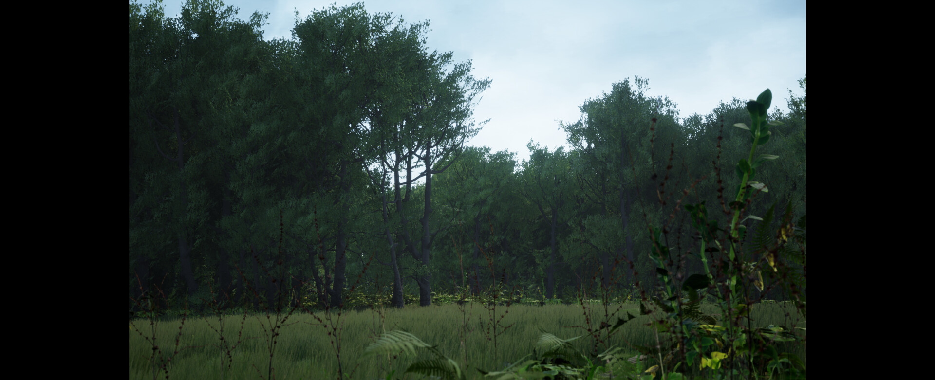 ArtStation - Tree Suite - Part 1: Replacing Speedtree with my own ...