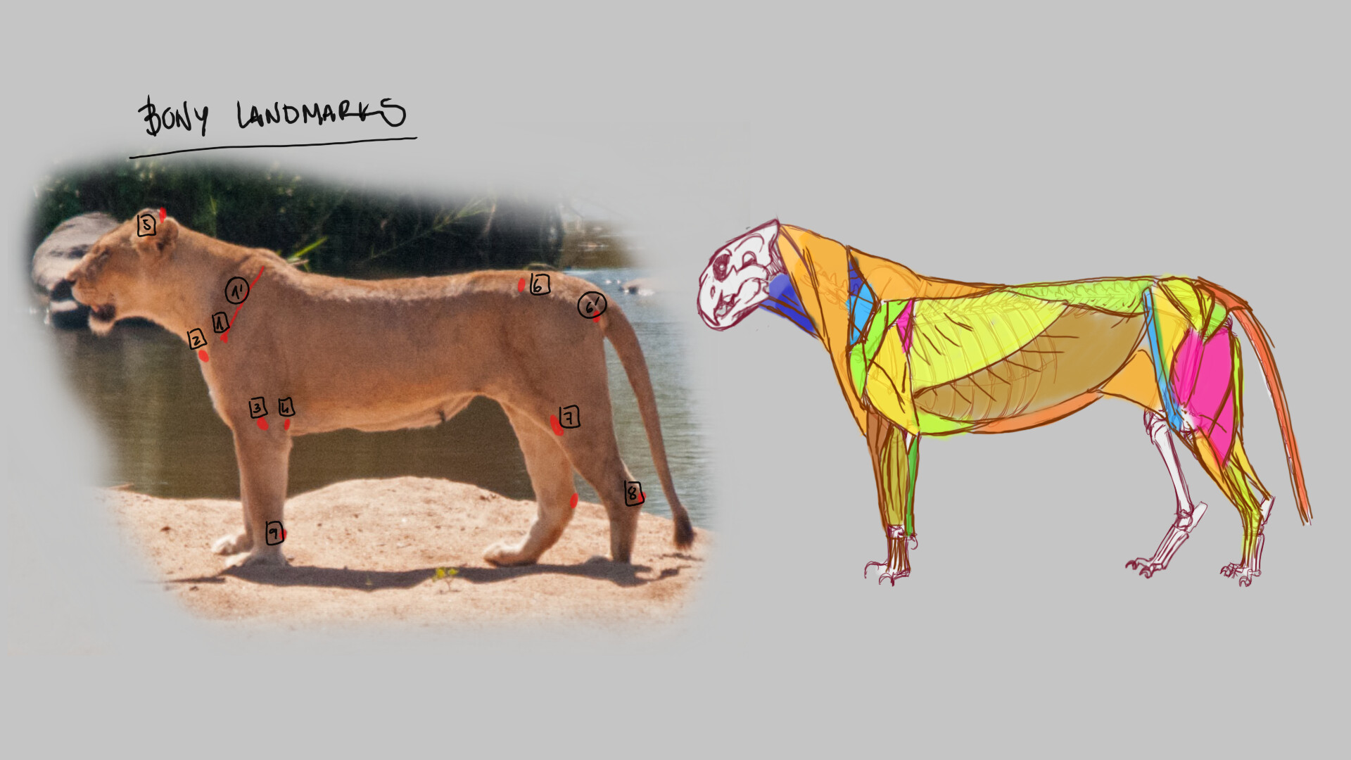 Aritz Basauri - Blog