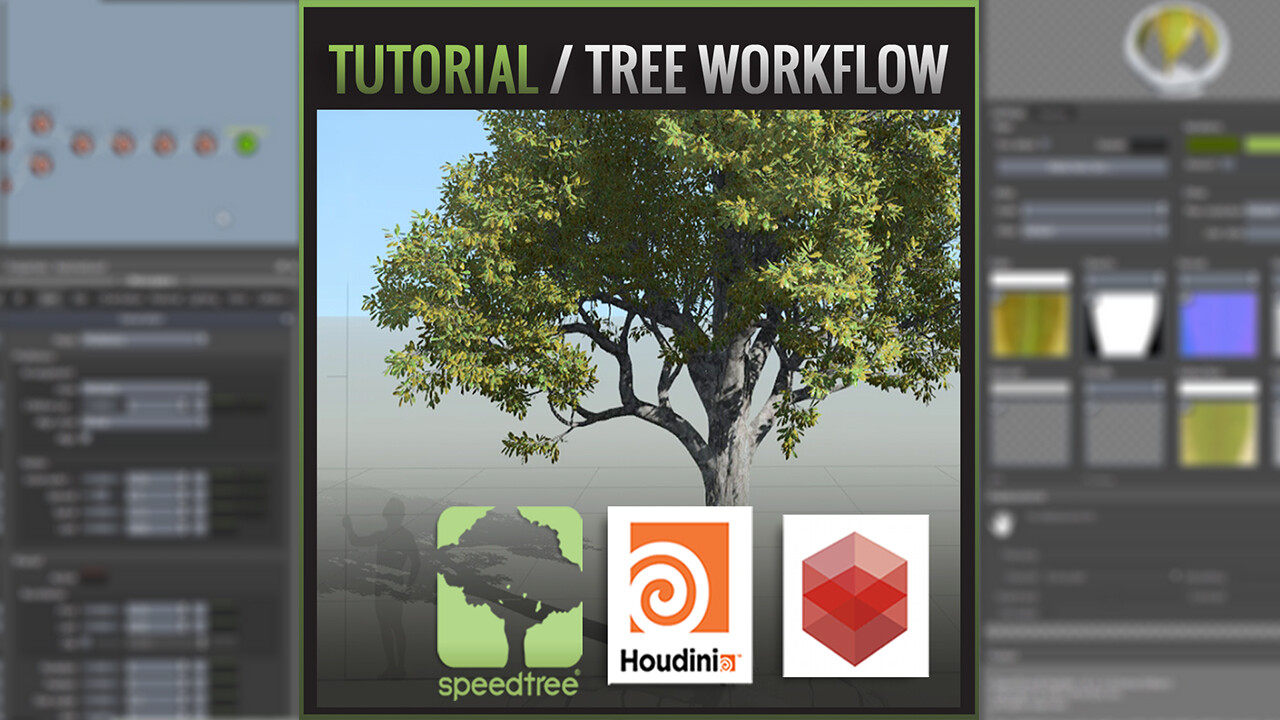 Adrien Lambert - Realistic tree workflow / Full process / SpeedTree ...