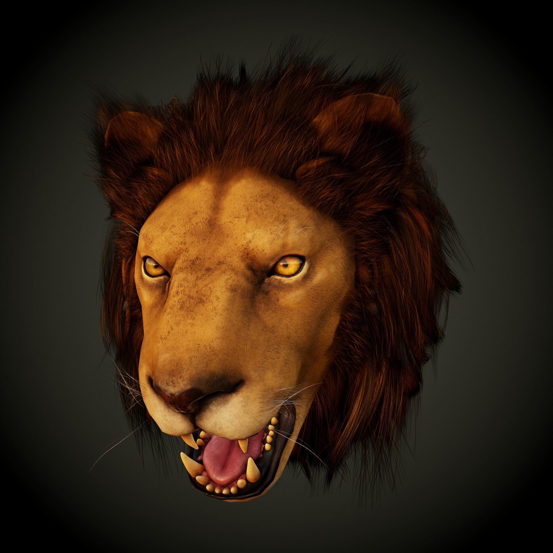 how to make lion mane hair