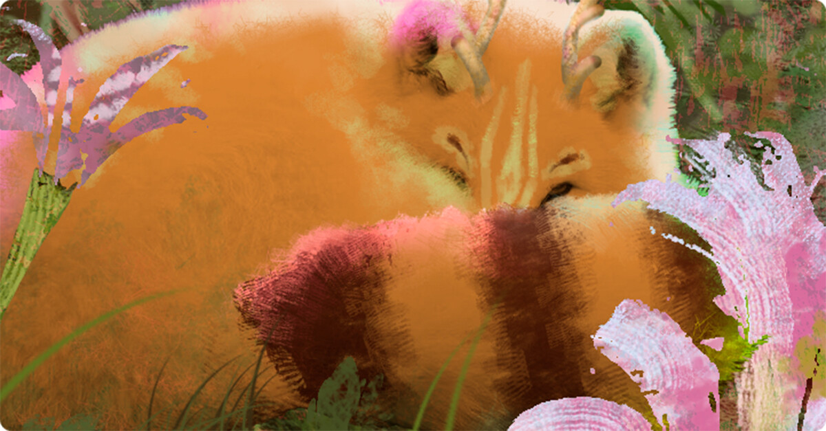 ArtStation - More PB Development