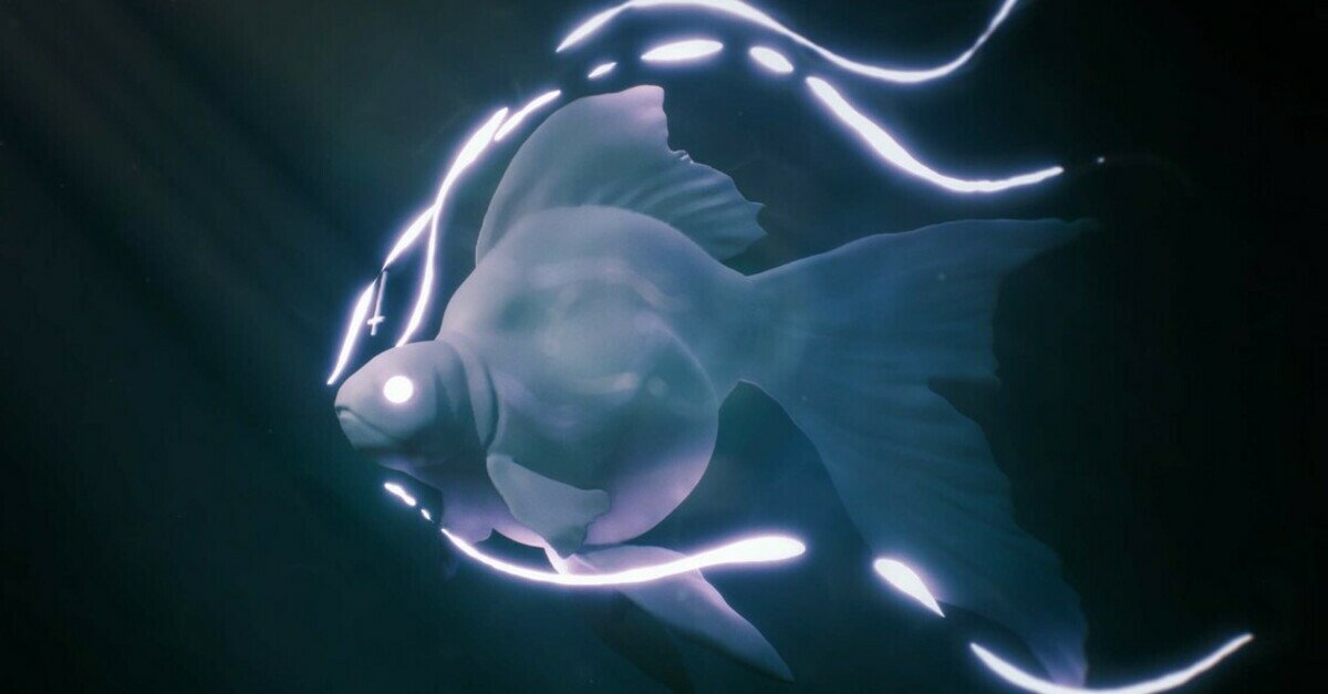 ArtStation - Grumpy Goldfish