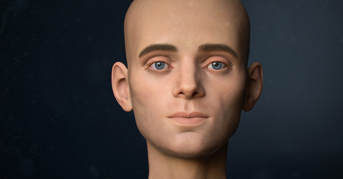 ArtStation - Planes of the Head study