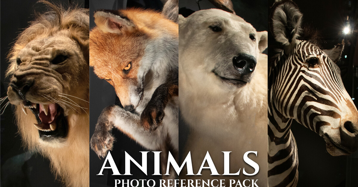 ArtStation - NEW REFERENCE PACK IS OUT AND ABOUT!