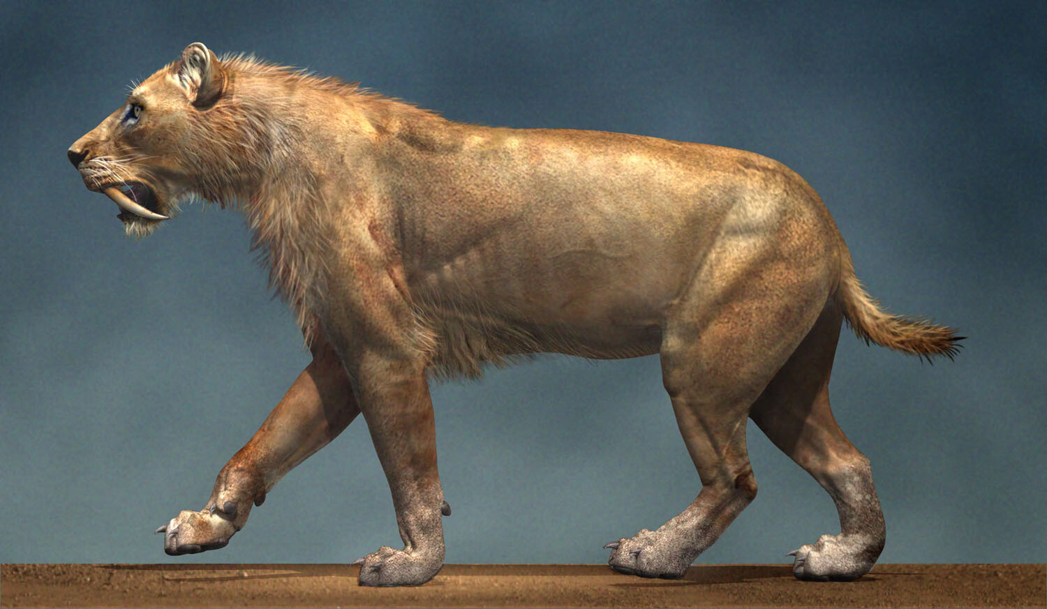Smilodon Walking With Beasts Smilodon | Wiki | Jurassic Park Amino
