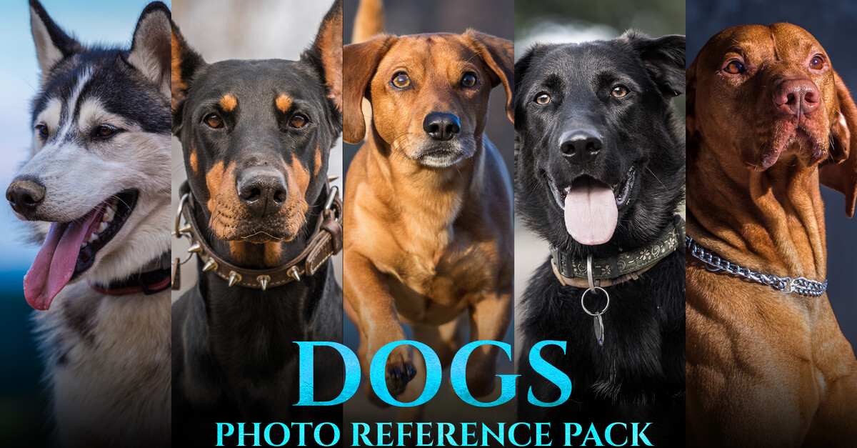 ArtStation - New reference pack is OUT! + BIG SALES