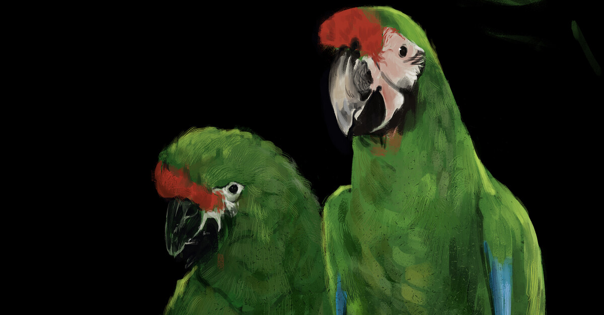 ArtStation - Color study 3