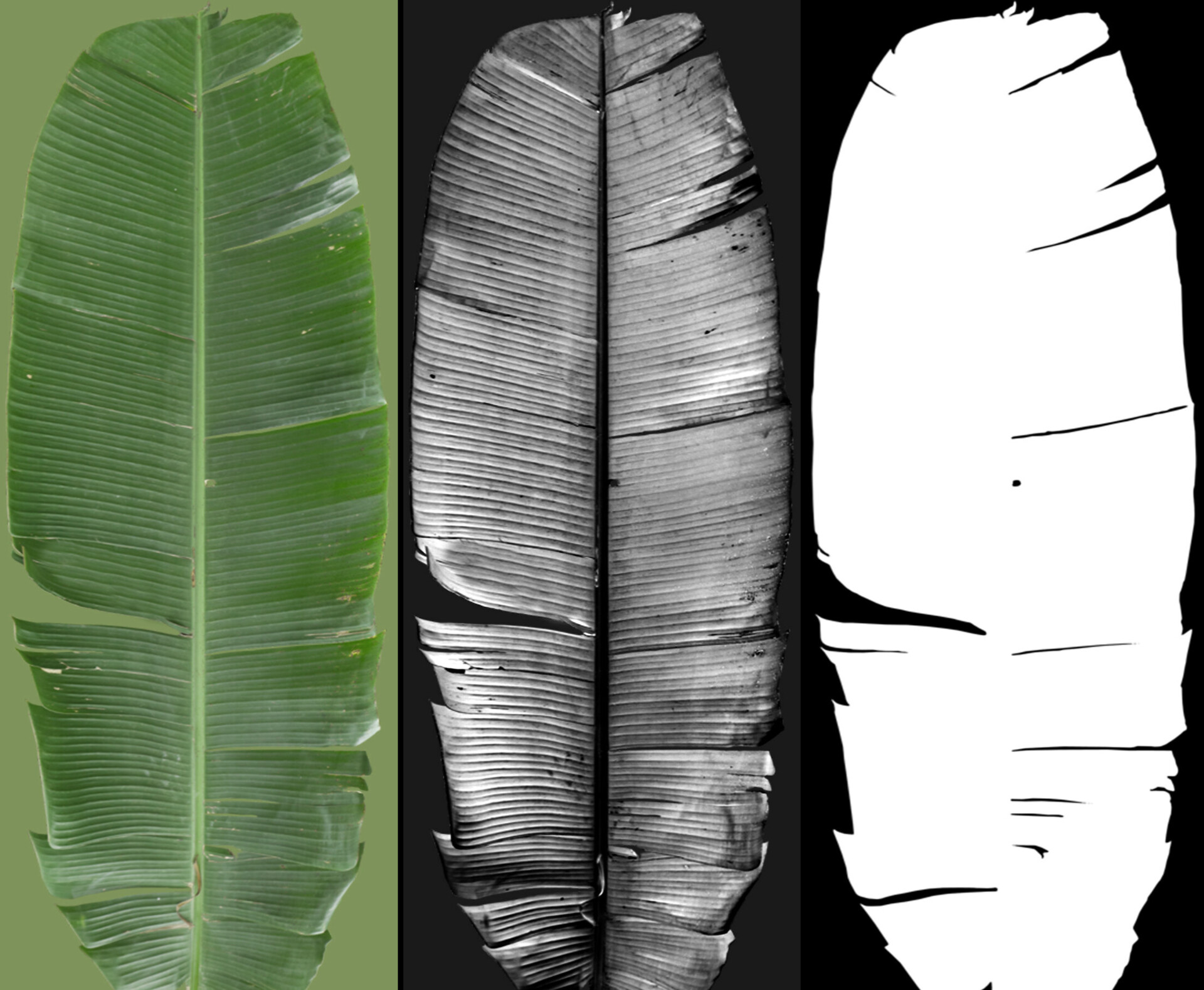 GarageFarm.NET Render Farm - Texturing in Cinema 4D