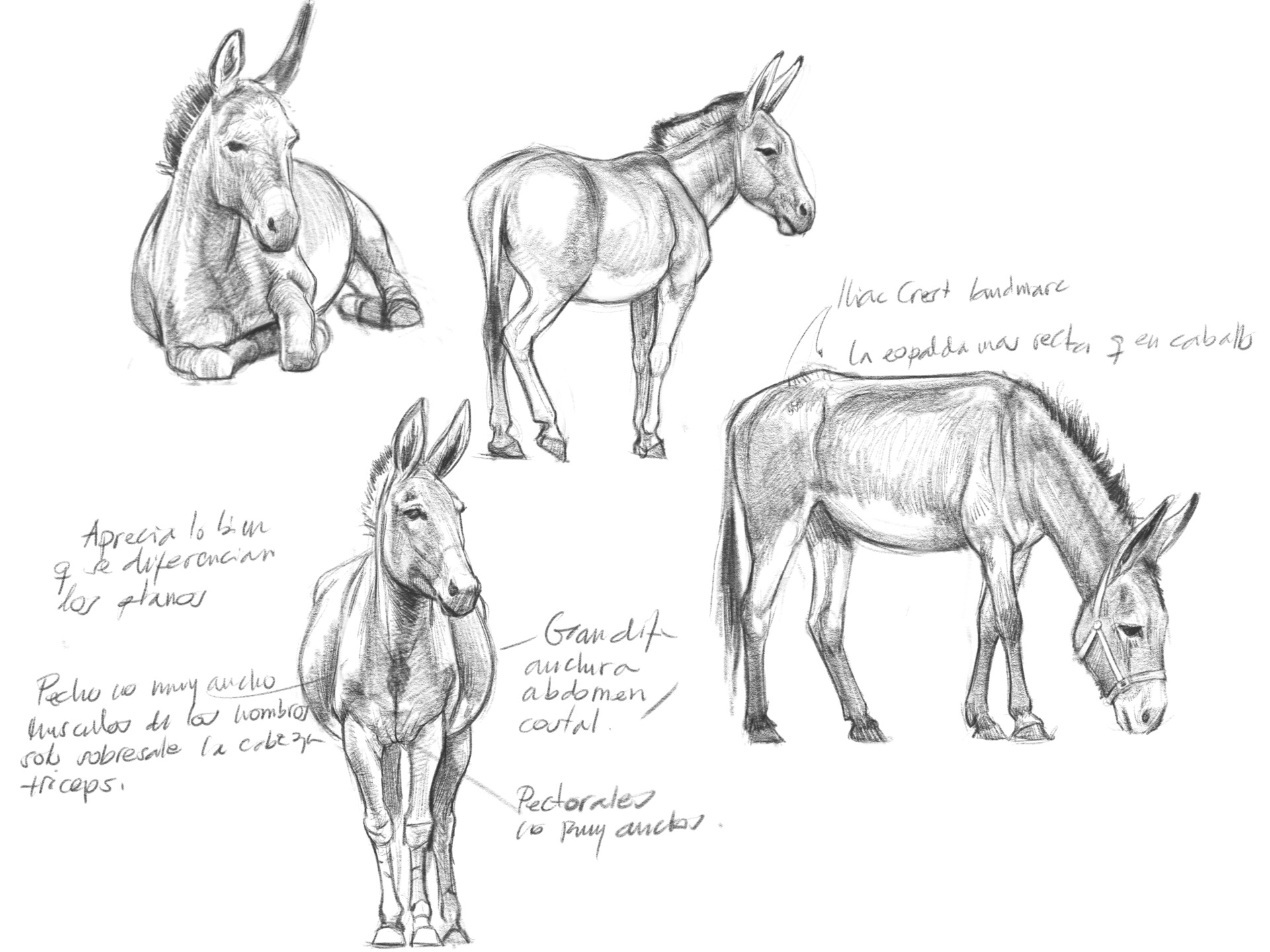 Aritz Basauri - Blog