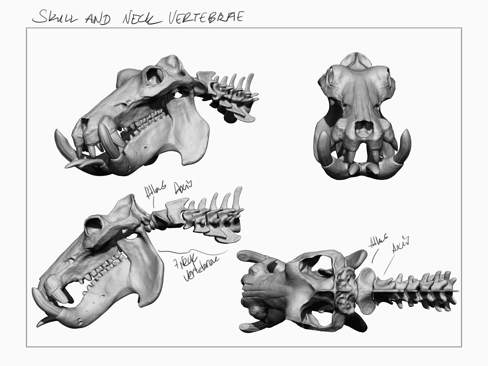 Aritz Basauri - Hippo study III