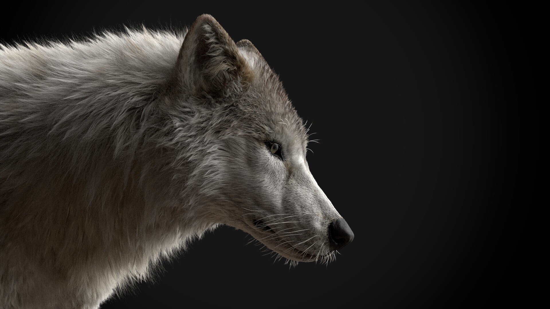 Aritz Basauri - Gray Wolf creation process
