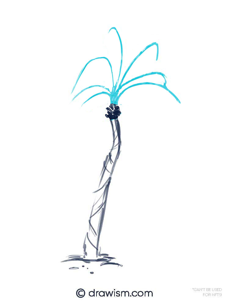 how to draw leaves on a palm tree