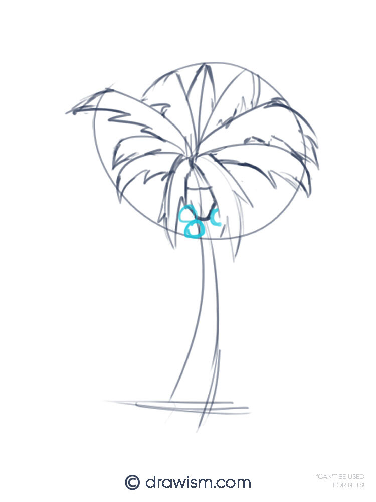 palm tree drawing