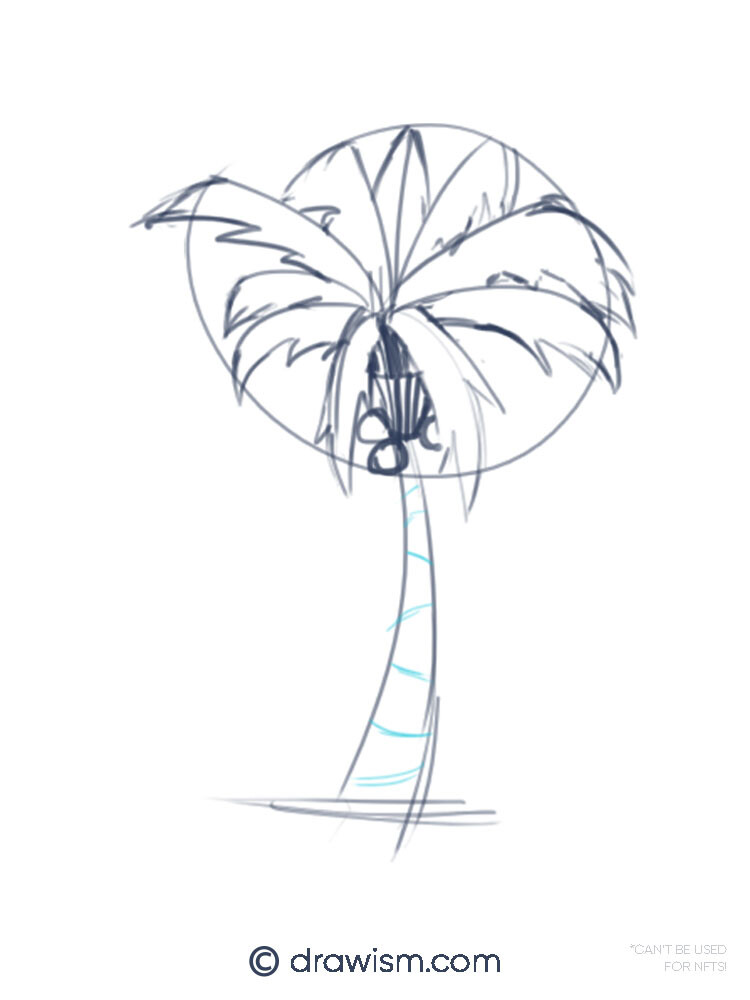 how to draw palm tree in illustrator