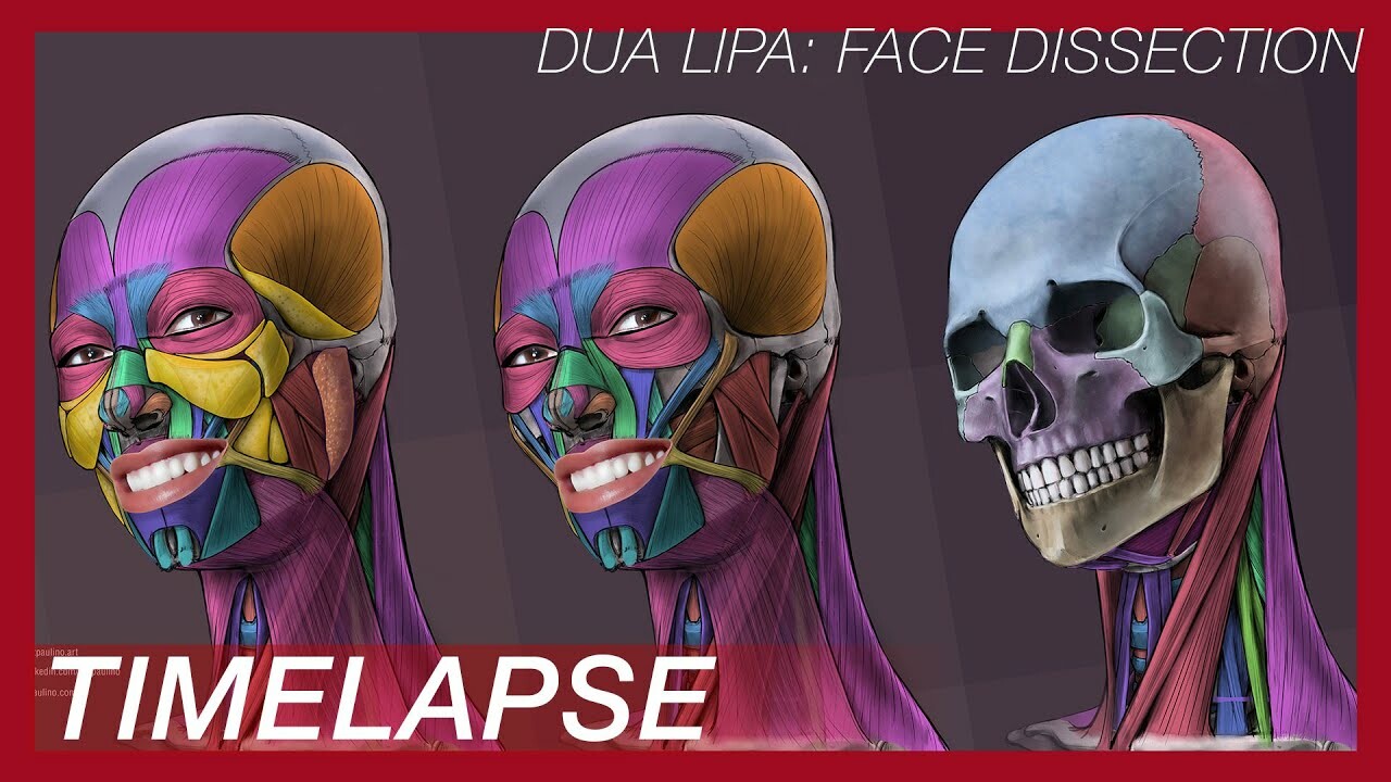 ArtStation - Dua Lipa: Face Dissection - Timelapse