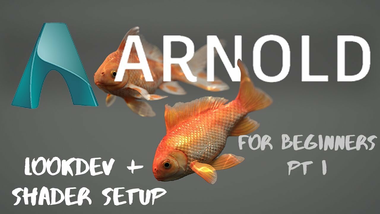 ArtStation - Arnold Lookdev for Beginners
