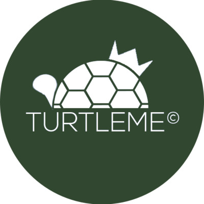 ArtStation - Tae Ha DBA TurtleMe jobs