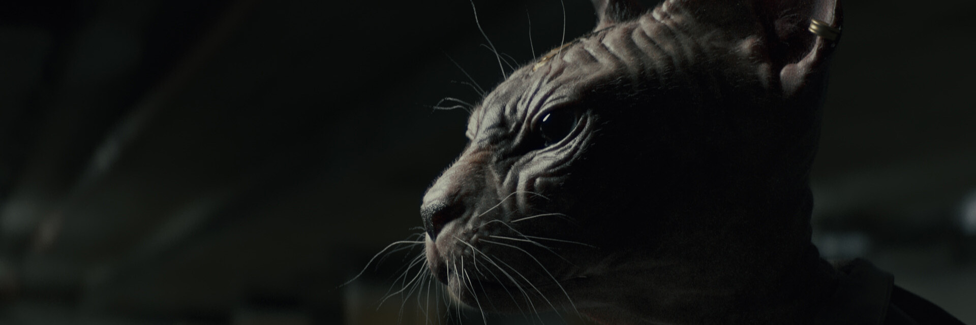 ArtStation - Florian Malchow