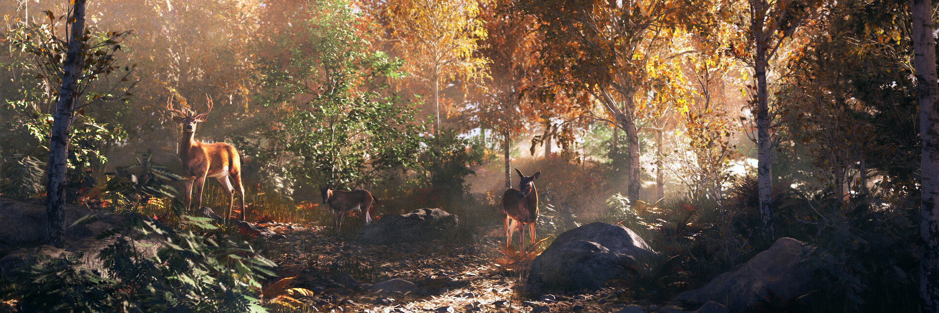 ArtStation - Adam Lacharité