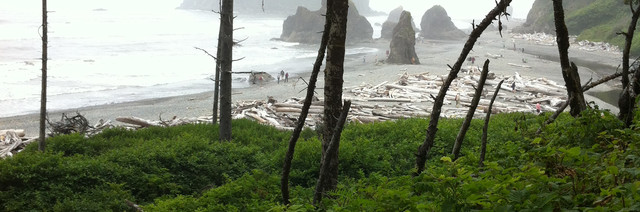 ArtStation - Kimberly Crabtree