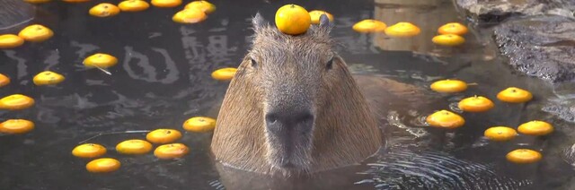 ArtStation - Casey Whitehead