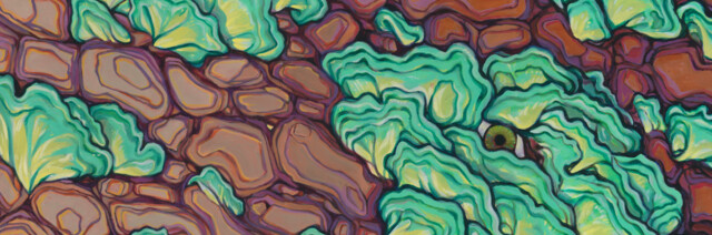 ArtStation - Elena Renn