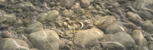 ArtStation - Vincent Lin