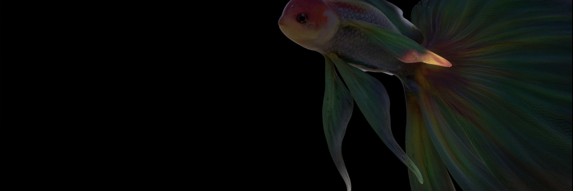 ArtStation - Summer Liu