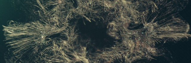 ArtStation - Maxime FAURE