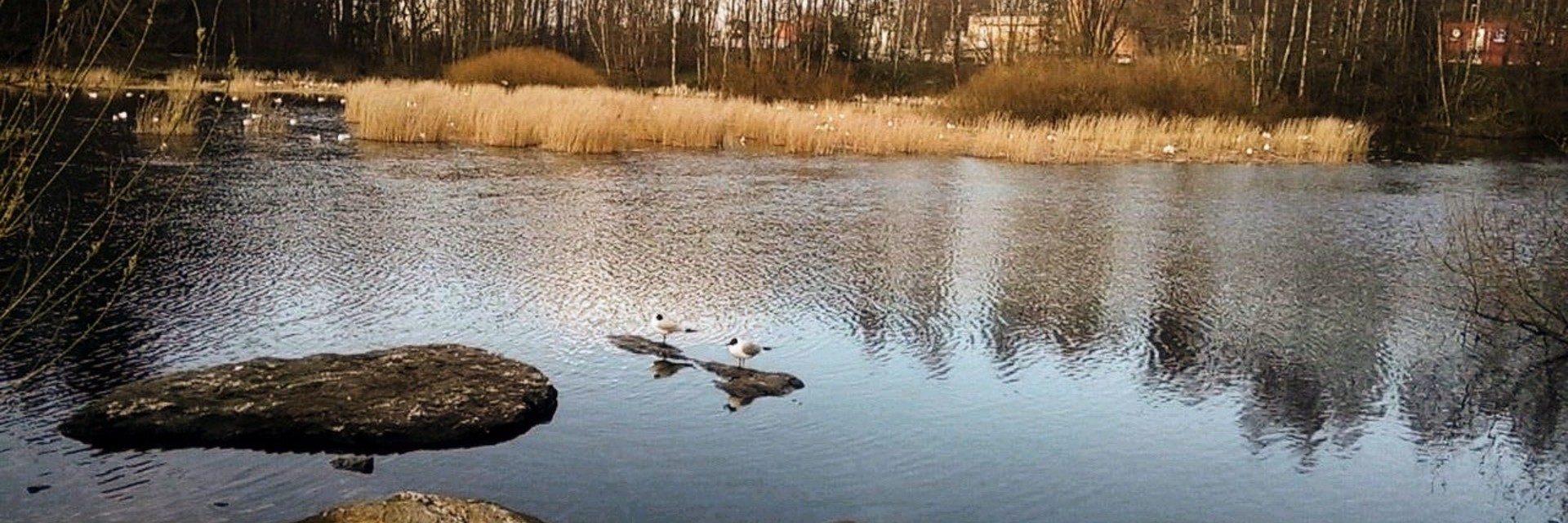 ArtStation - Irum Hafeez