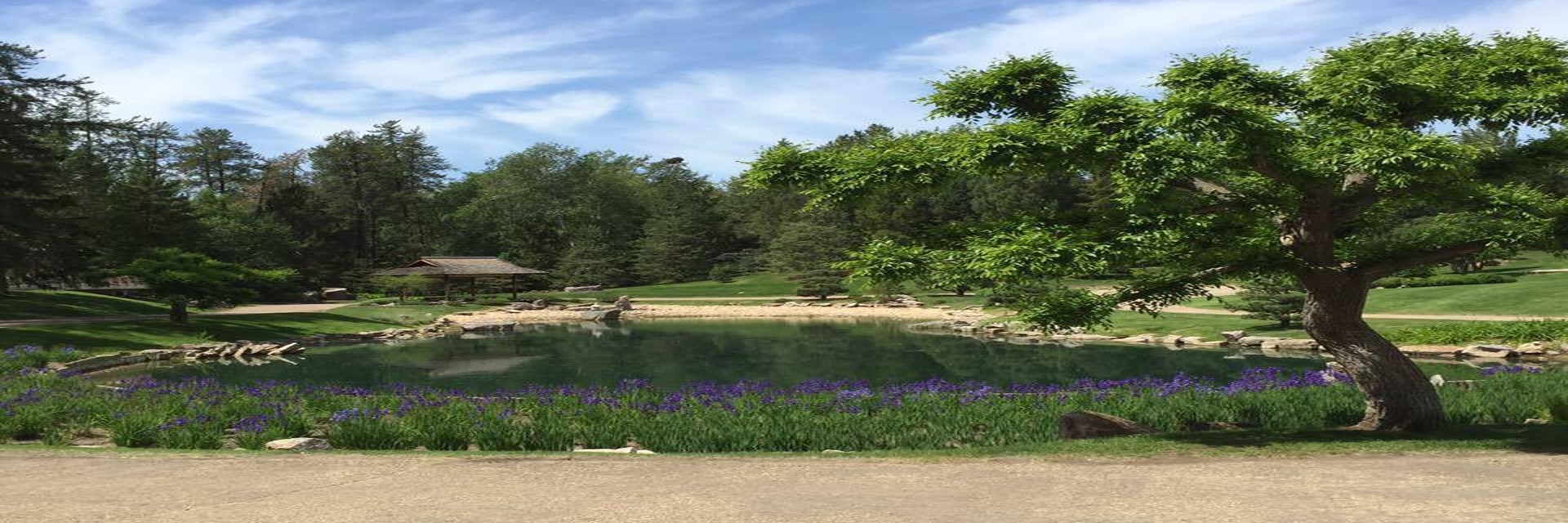 ArtStation - Sean Rowley