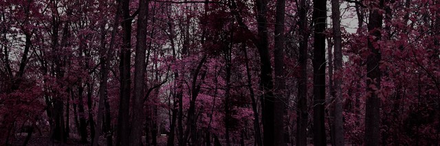 ArtStation - Mr. Ka Artwork