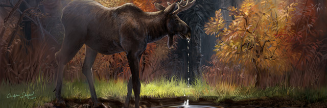 ArtStation - Christopher Sheppard