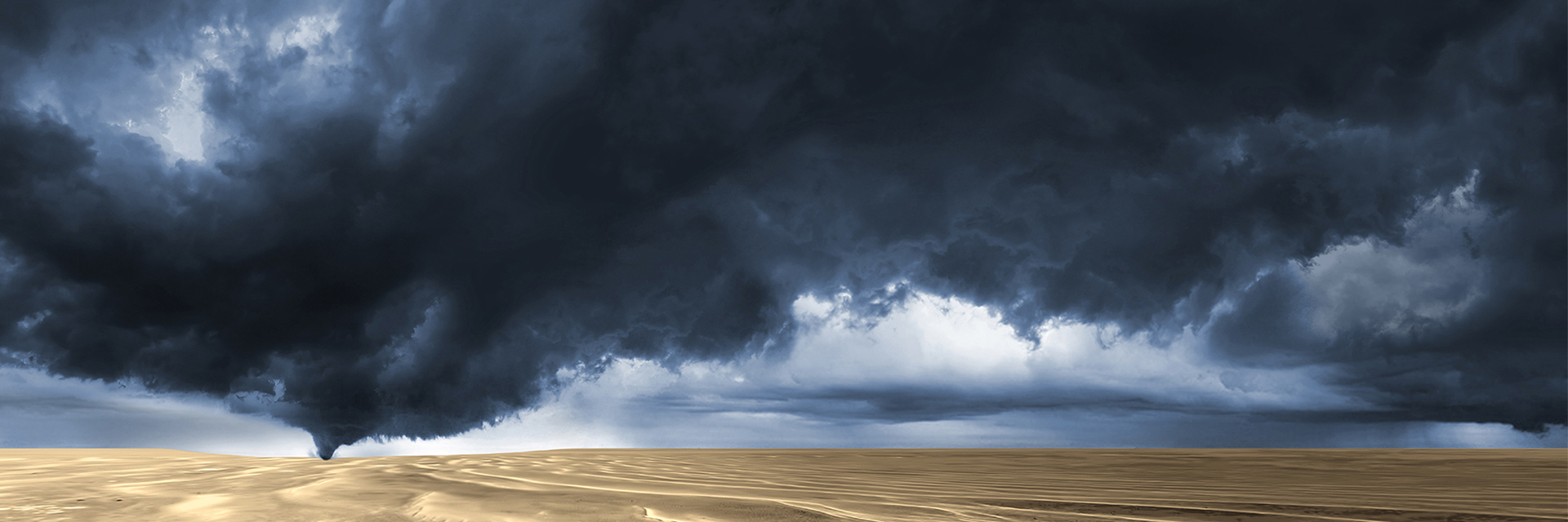 ArtStation - Tony Fowler