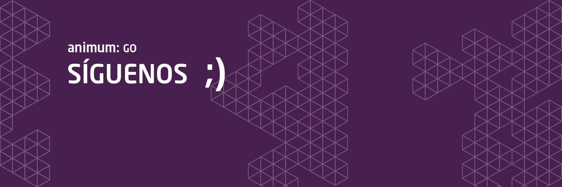 Animum Creativity Advanced School